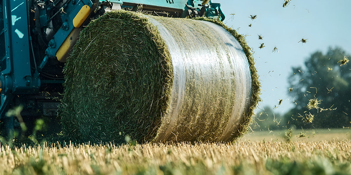 5 Quick Tips for Using Your Baler | Equipment Trader Blog