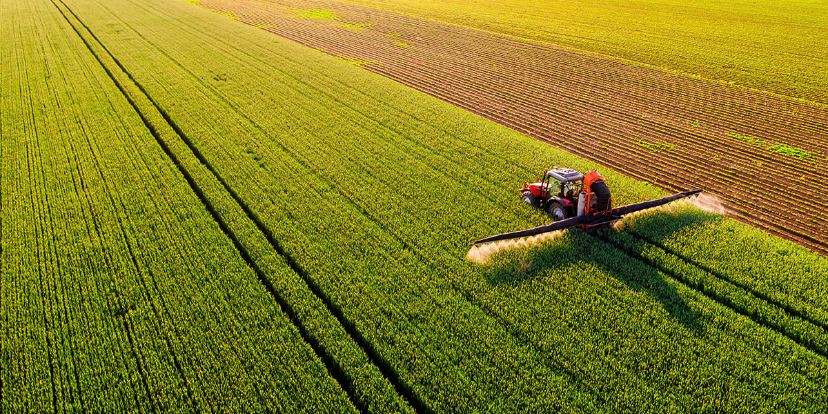 Biggest Cash Crops in the Leading Agricultural States | Equipment ...