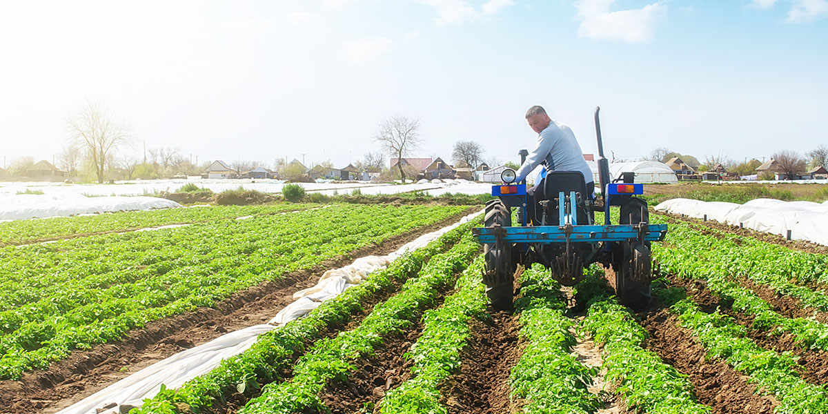 Essential Equipment for Small-Scale Farming | Equipment Trader Blog